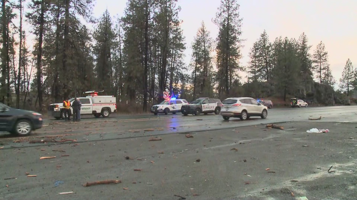 2 people killed by falling tree identified | krem.com
