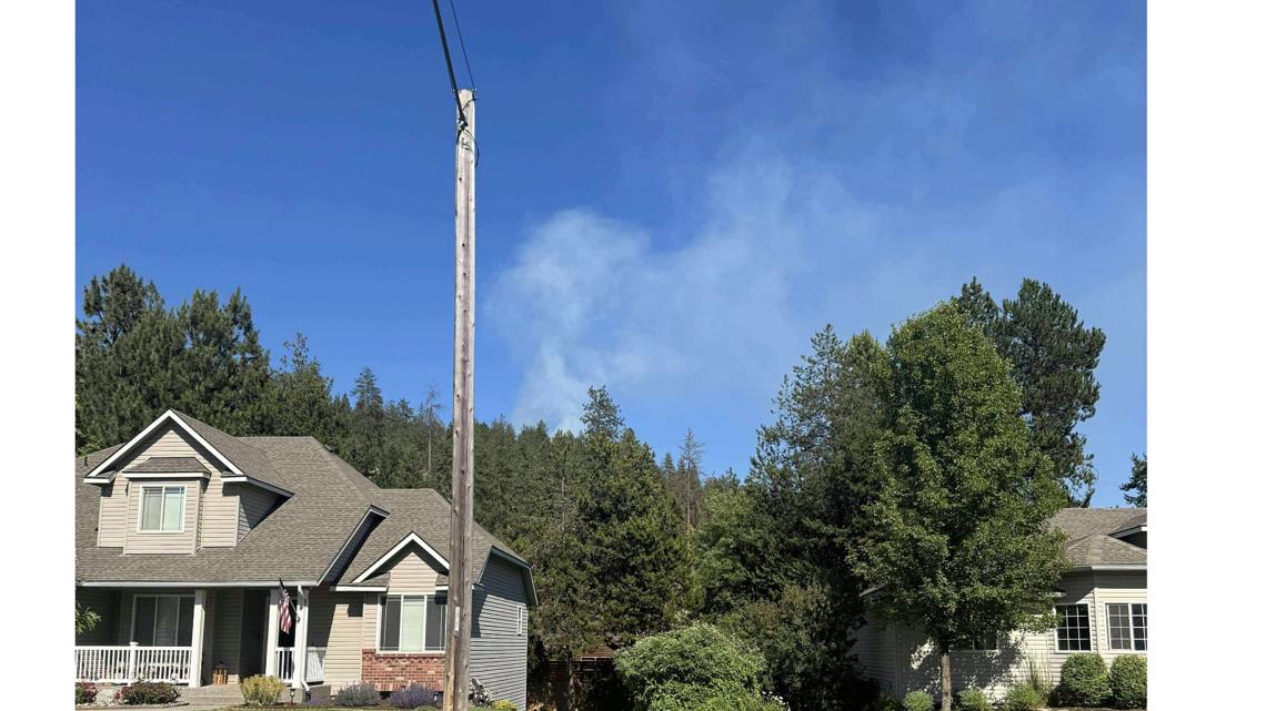 Oliver Widger sails the Pacific with his cat Phoenix | krem.com