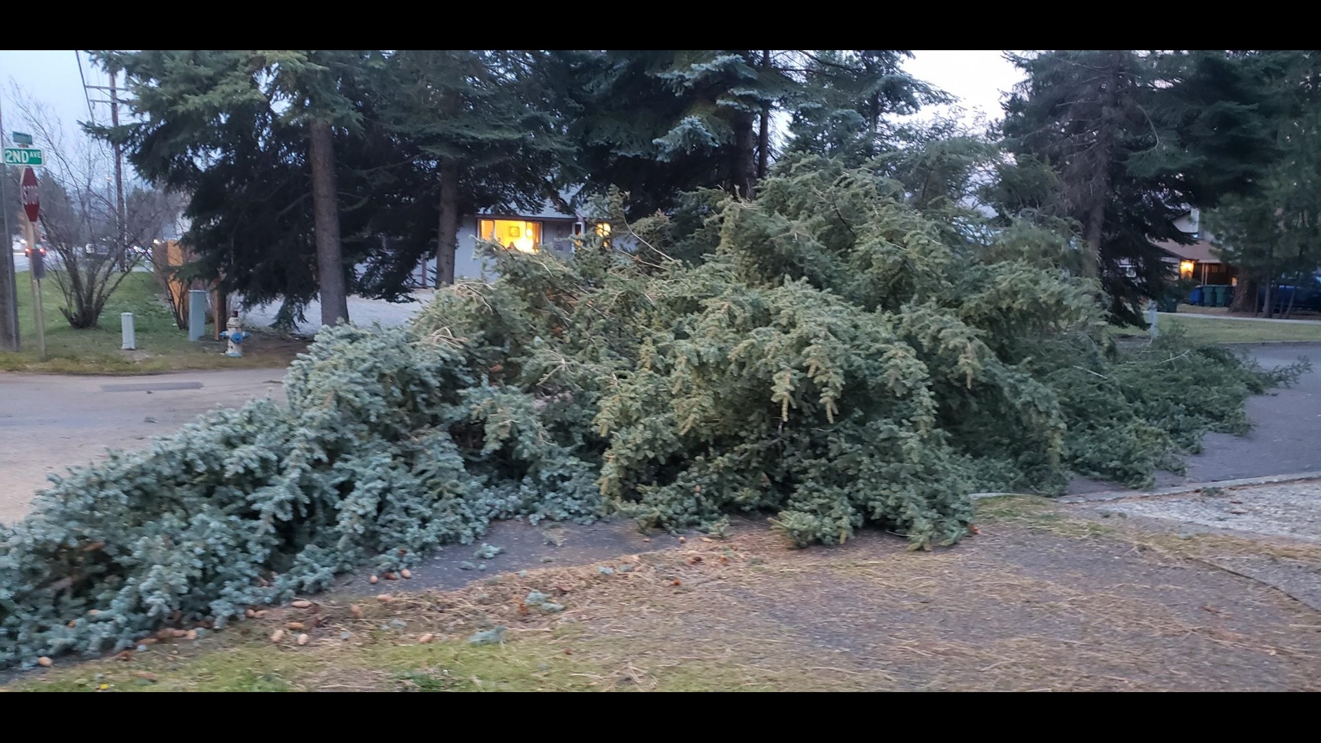 High winds in Spokane lead to power outages, damage | krem.com
