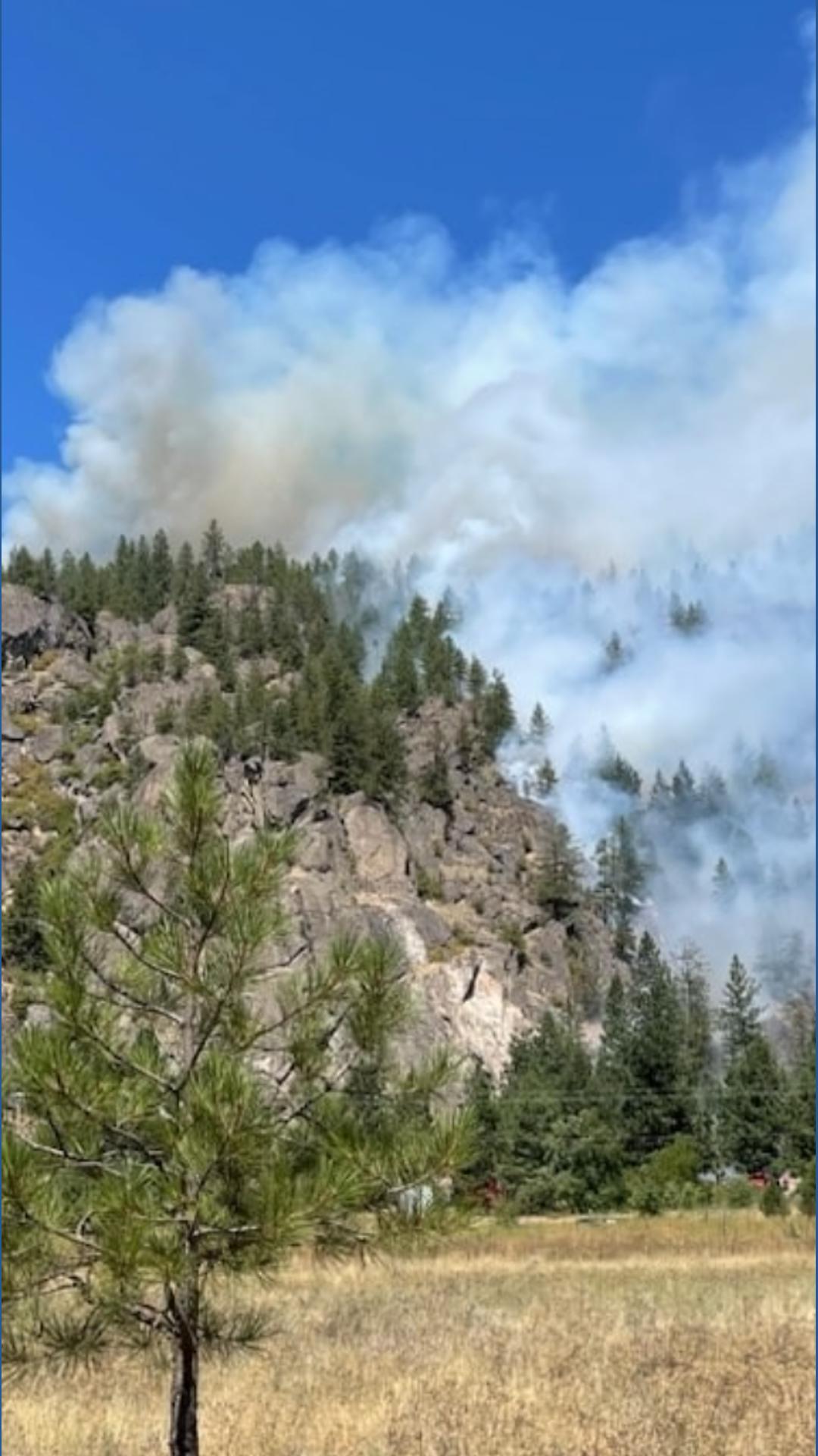 Level 3 (Go Now!) Evacuations ordered for wildfire burning near Arden ...