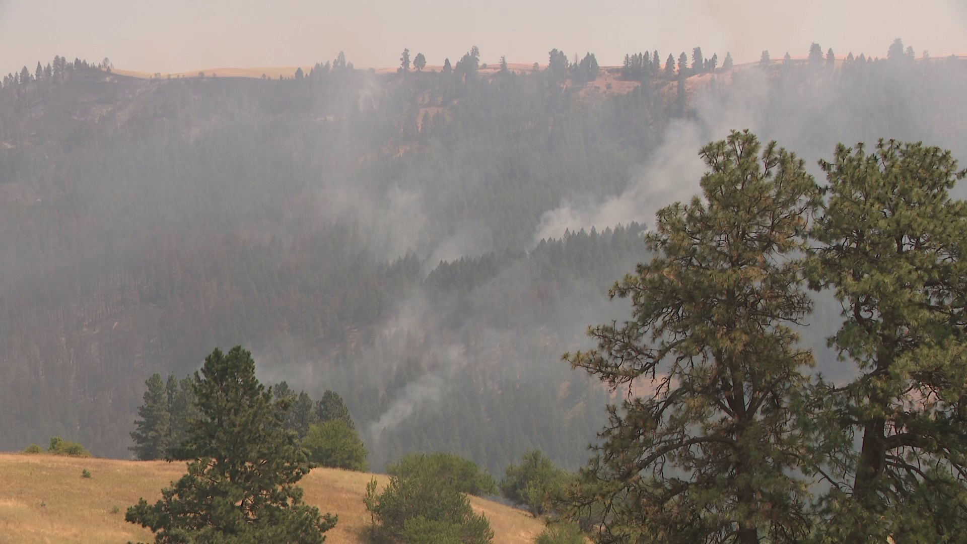 FEMA authorizes funds to fight Texas fire in Latah and Nez Perce ...