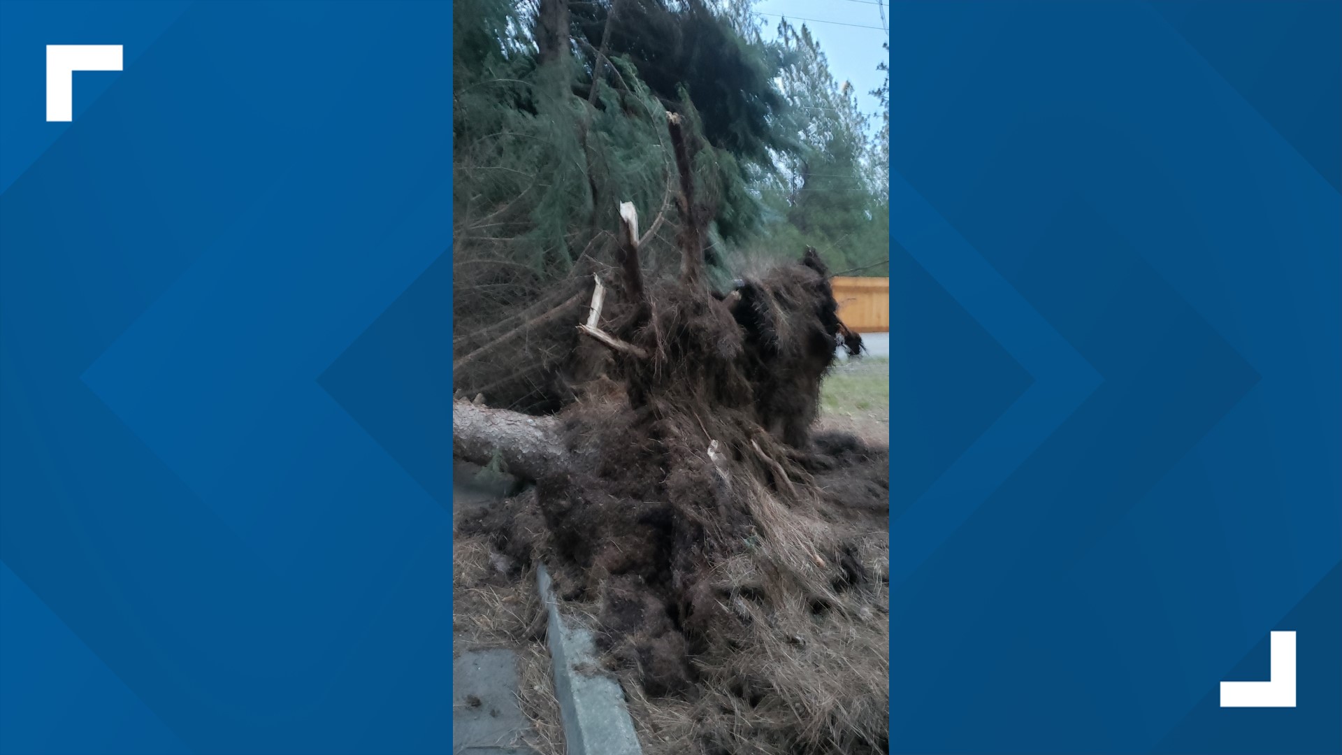 High wind warning issued for Spokane, Coeur d'Alene | krem.com