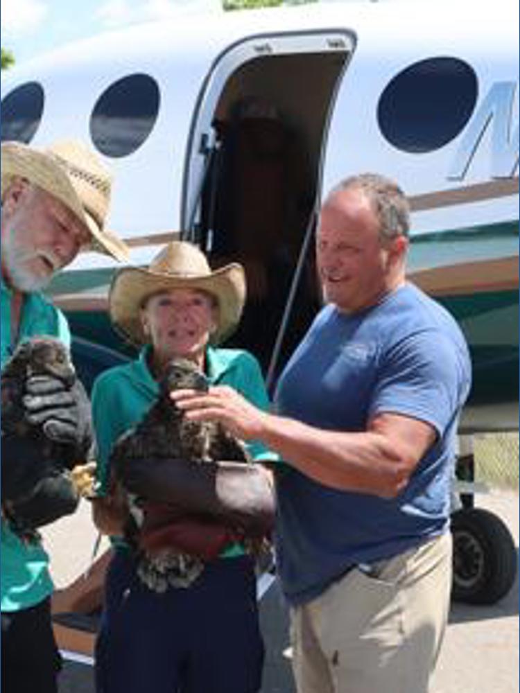 Injured baby bald eagles recovering at Birds of Prey Northwest | krem.com