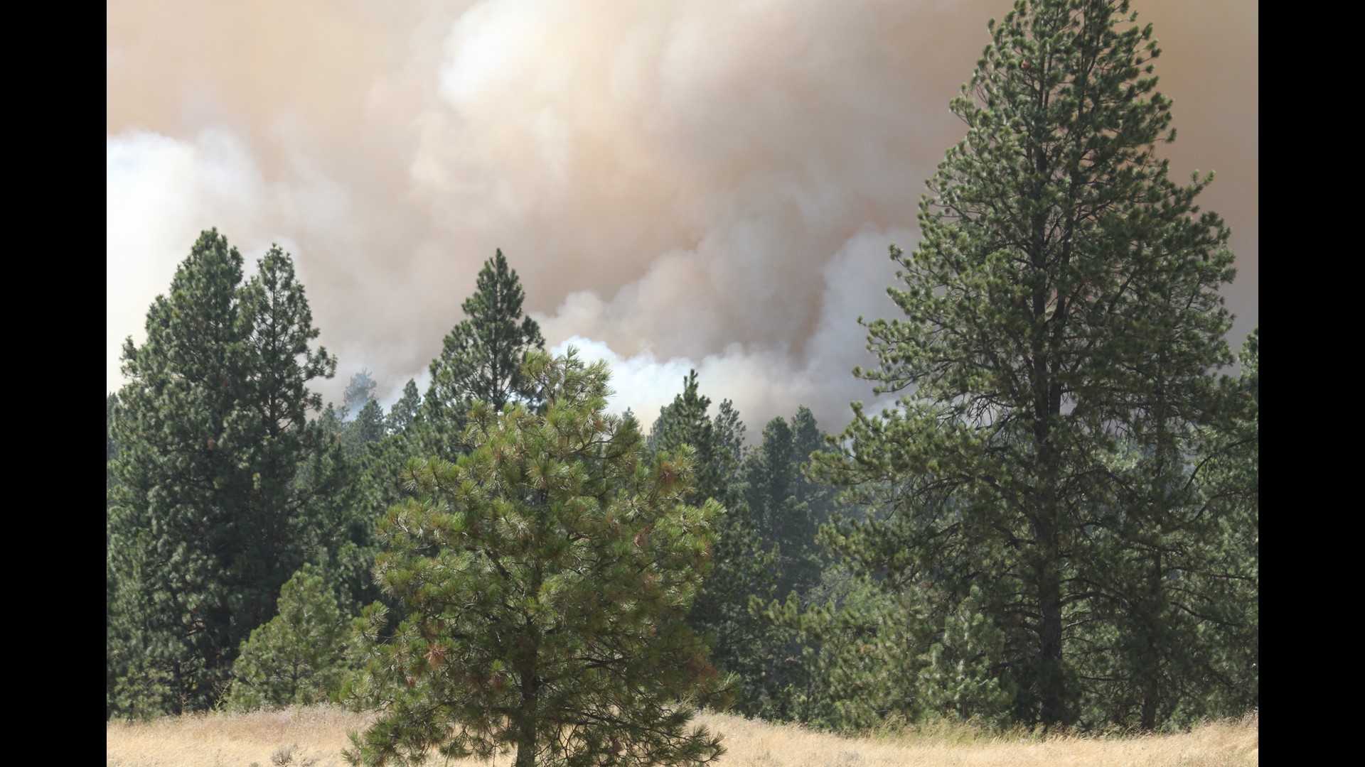 Williams Lake Fire | Photos of the Flames | krem.com