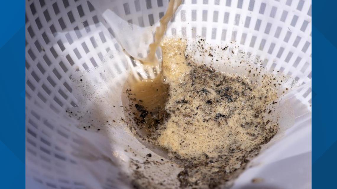 Kalispel Tribe partners with WSU for archeological excavation | krem.com
