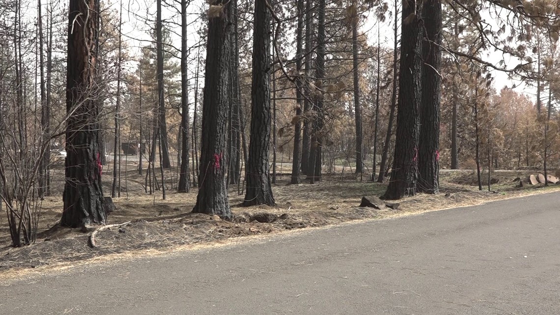 City of Medical Lake offering no-cost solution to removing hazardous ...