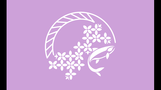 How to vote for design of Spokane's new city flag | krem.com