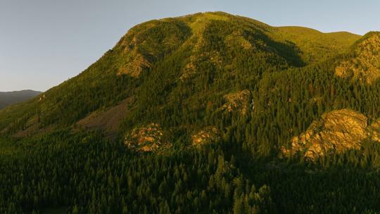 Transfer of Falls Creek Project to Kootenai National Forest may benefit ...