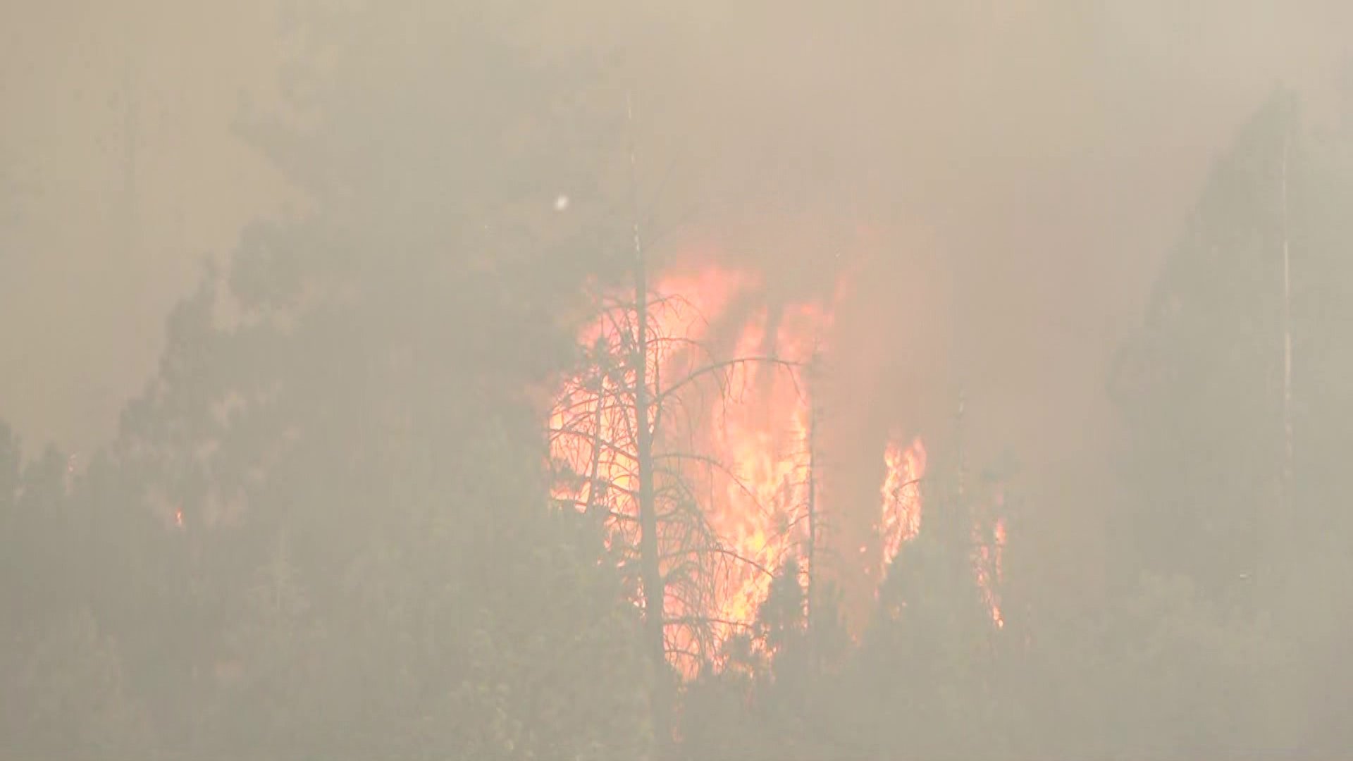 New air quality tracking map for wildfire season | krem.com