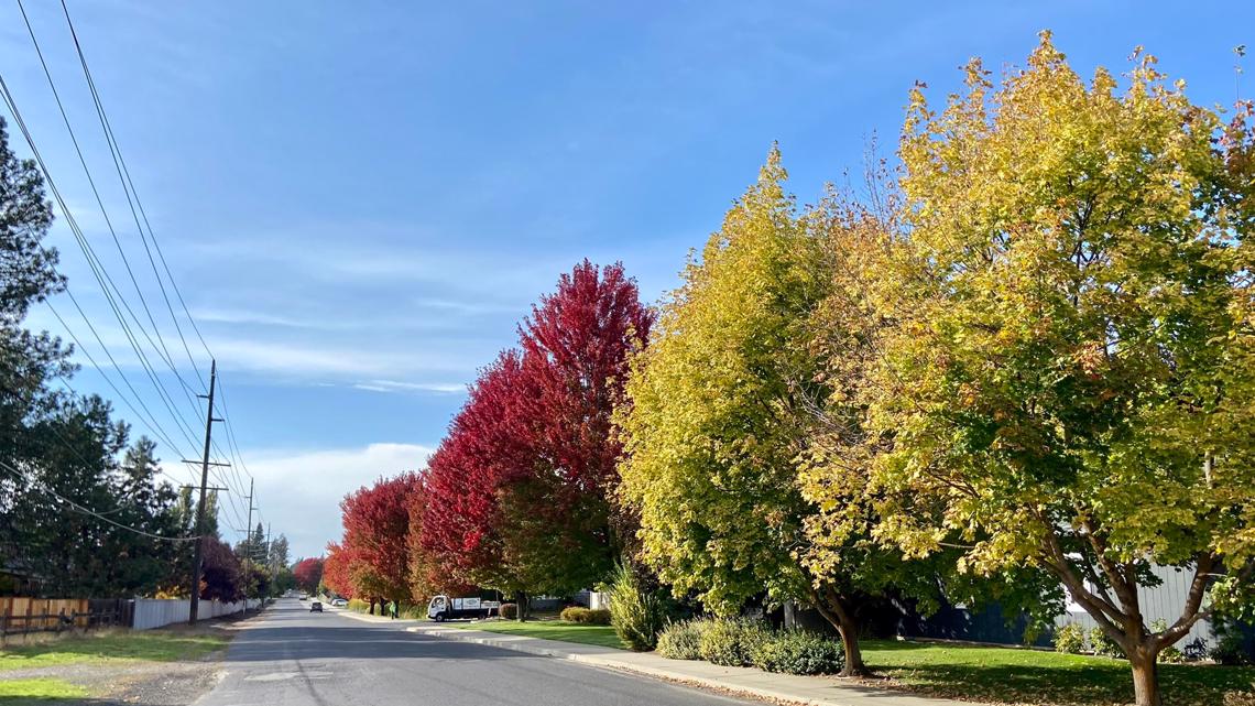 Why fall colors in Spokane-area are so vibrant | krem.com