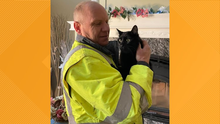 Idaho cat rescued from red fir after being stuck for two days | krem.com