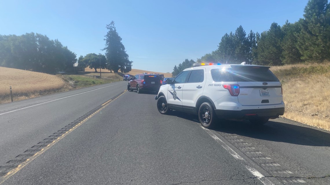 Road closes after fatal crash near Pullman | krem.com