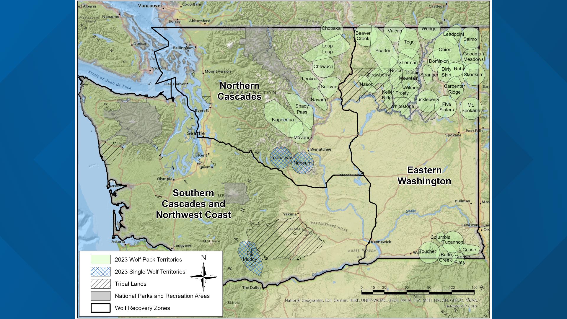 How apex predators impact residents, ranchers in Eastern Wash. | krem.com