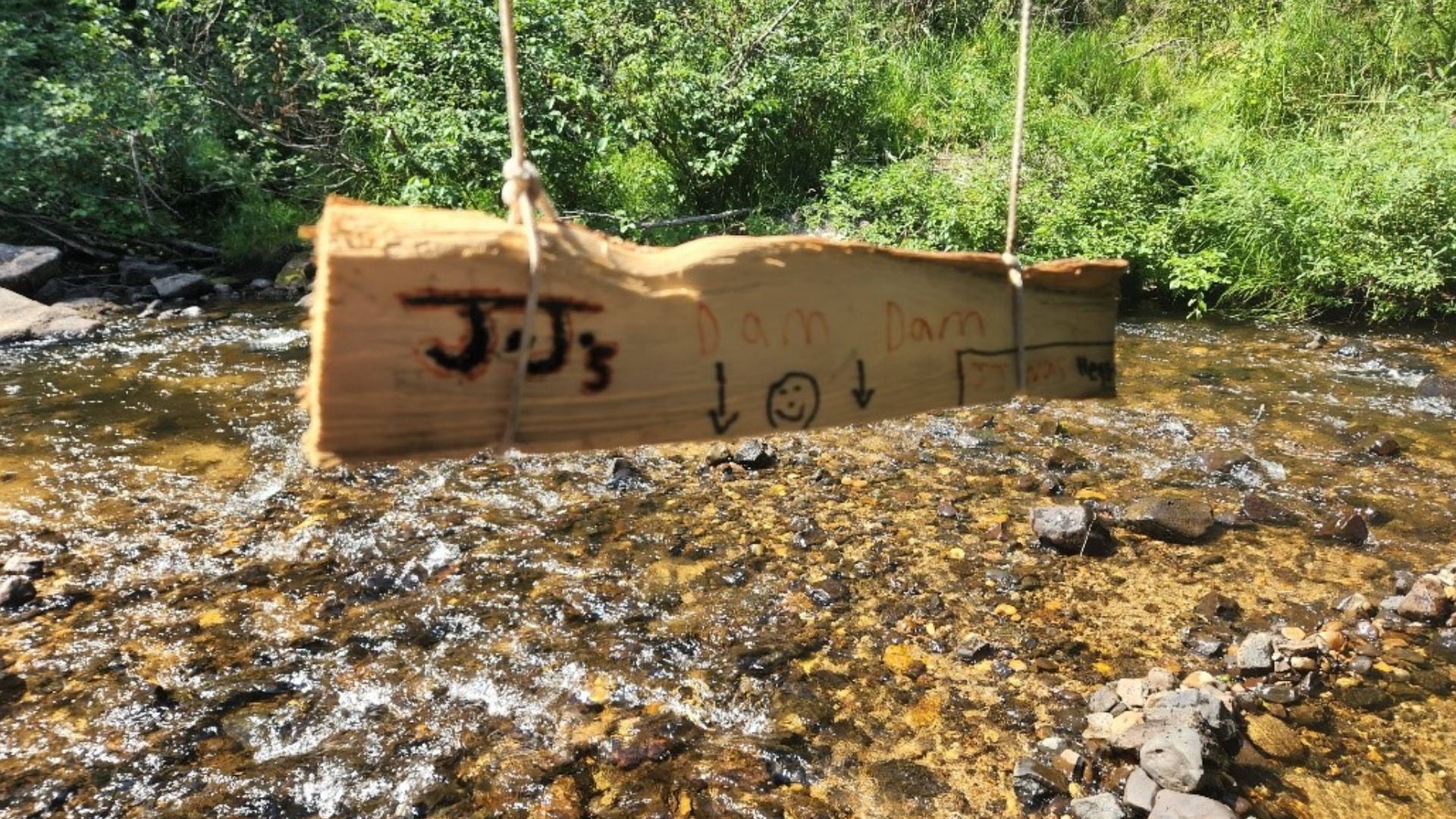 Artificial dams impact fish | krem.com