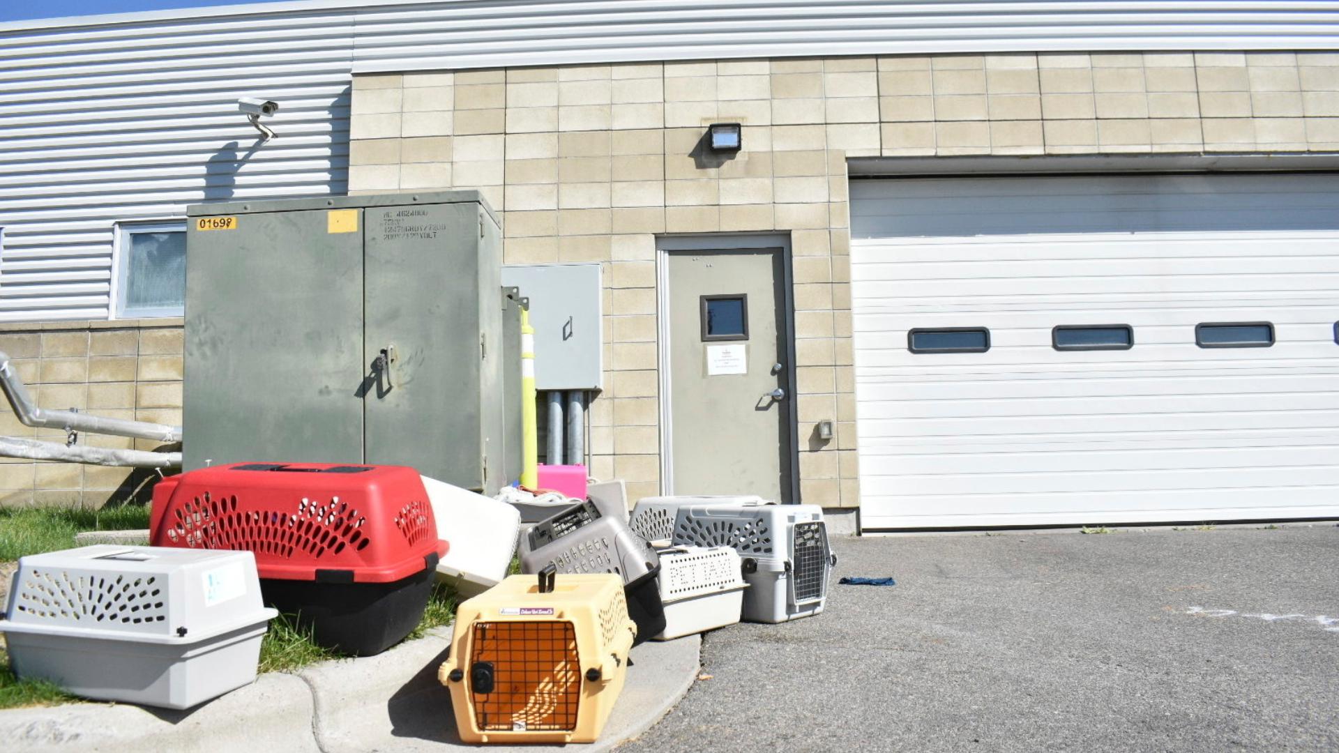 Meth burn by FBI smokes out Montana animal shelter | krem.com