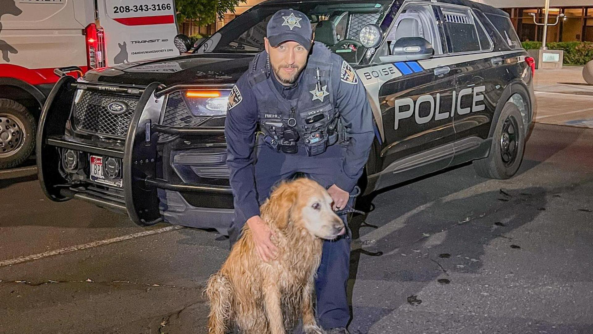 Boise police officer saves dog from irrigation canal | krem.com