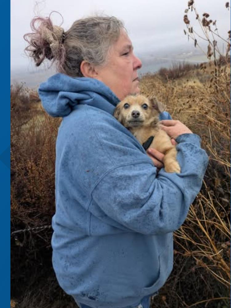 Idaho Humane Society offers $1,500 reward for info on dogs shot in ...