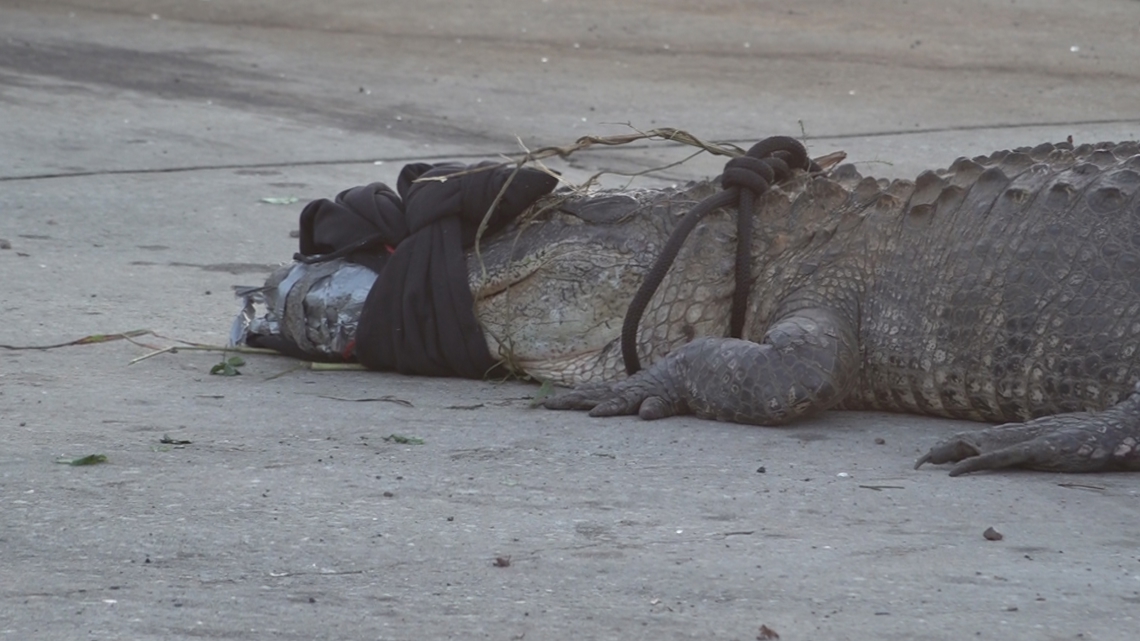 Court documents reveal how DNA left at King Road crime scene | krem.com